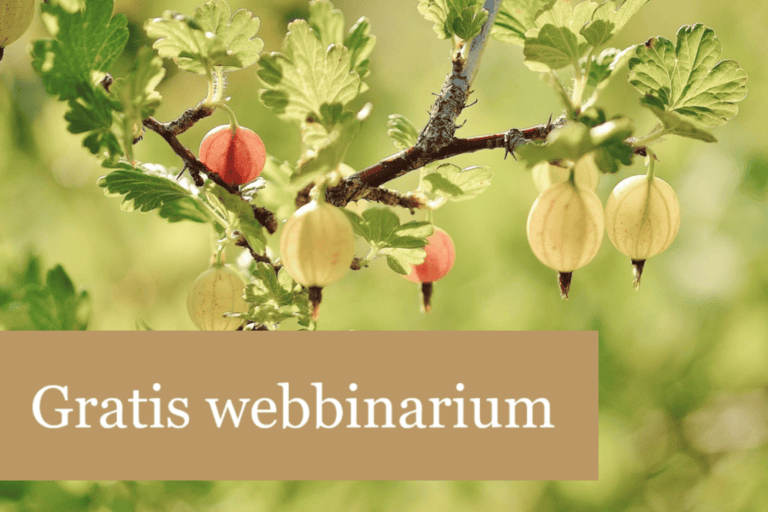 Gratis webbinarium: Designa med ätbart | Trädgårdsakademin